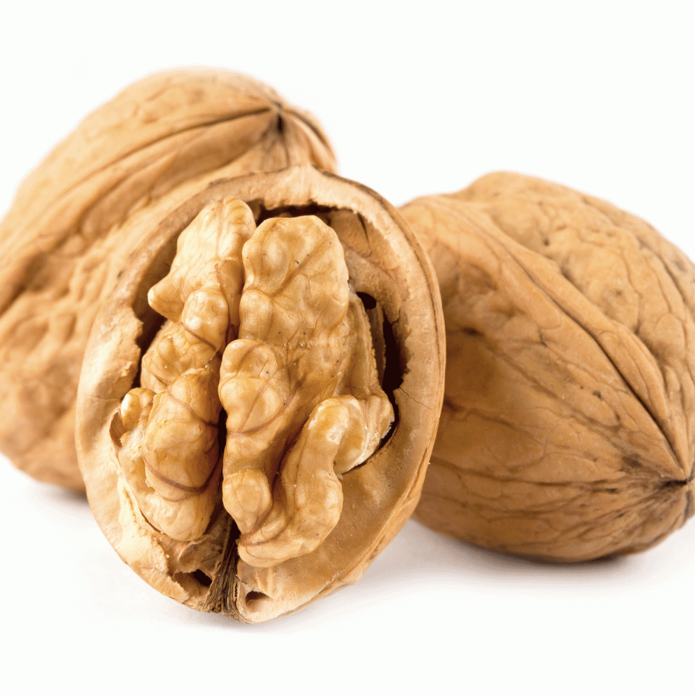 Cashew Nut – Cap Industries